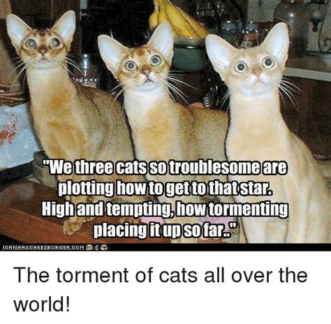 Food, Glorious Food – Mad Genius Club